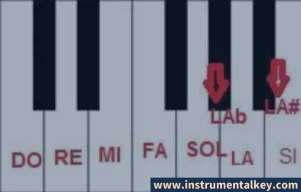 Aprender A Tocar Piano O Teclado 2024 [Las Mejores Lecciones]